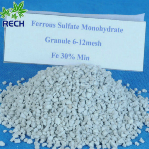 Industry Grade Ferrous Sulphate Monohydrate 91% FeSO4.H2O - Rech Chemical Co. LTD